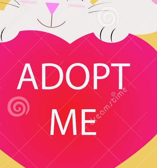 Bunny Tails crop-387-414-526-563-0-rabbit-adopt-me-message-heart-vector ...